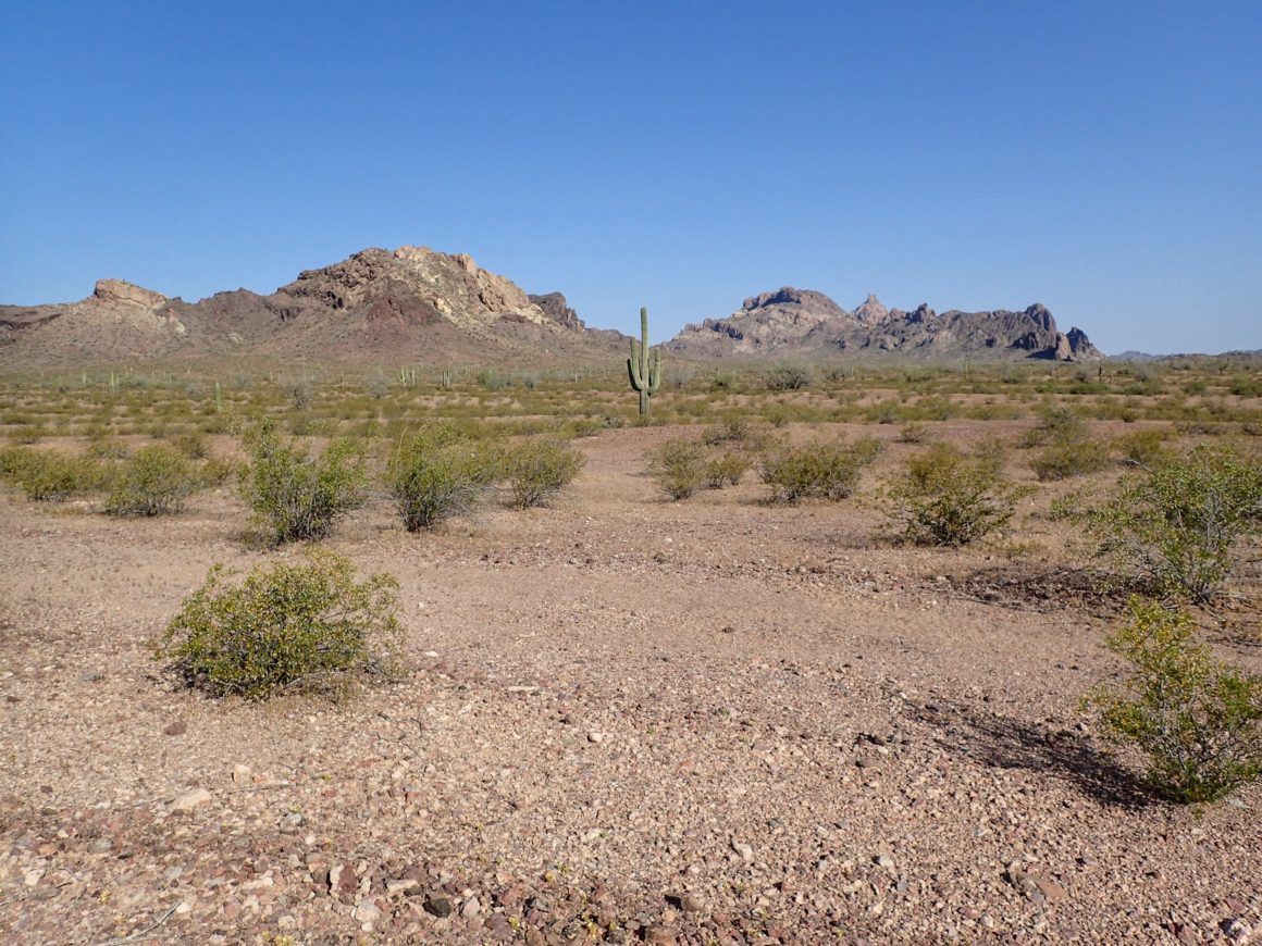 Five ways to keep cool while hiking in the desert • rscottjones Five ways to keep cool while hiking in the desert • rscottjones